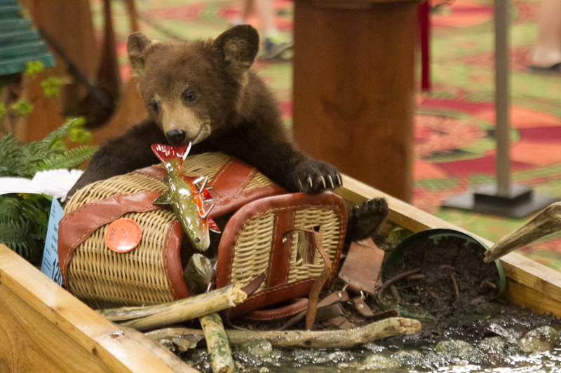 Creative Taxidermy Work | The Camerist's Collection