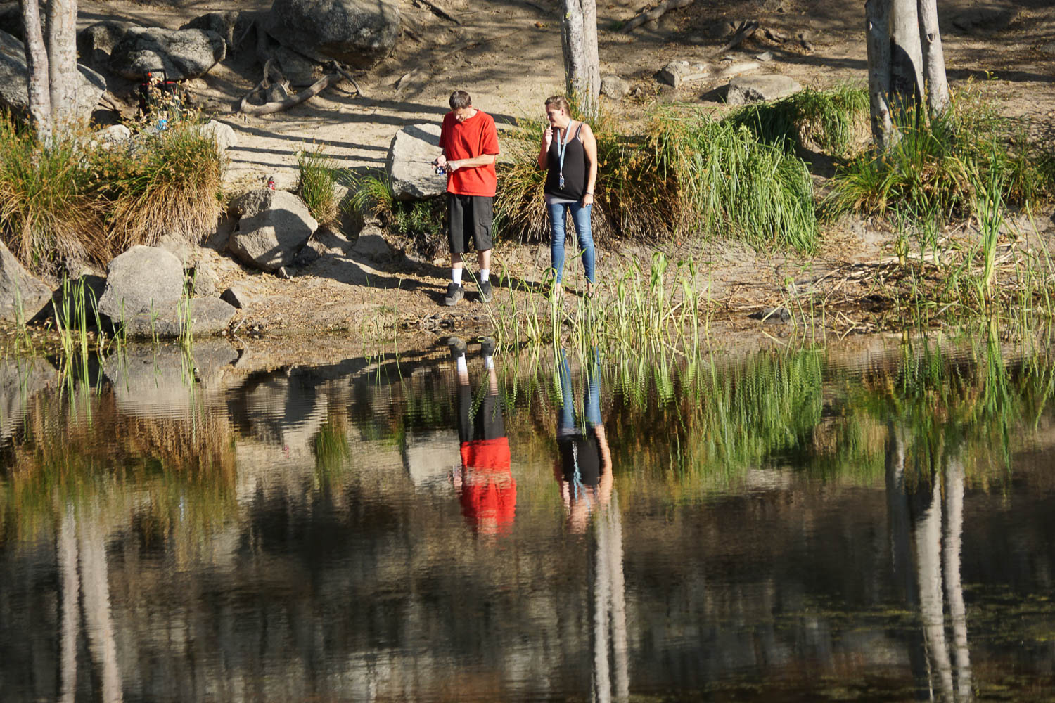 Fulmore Reflections | The Camerist's Collection