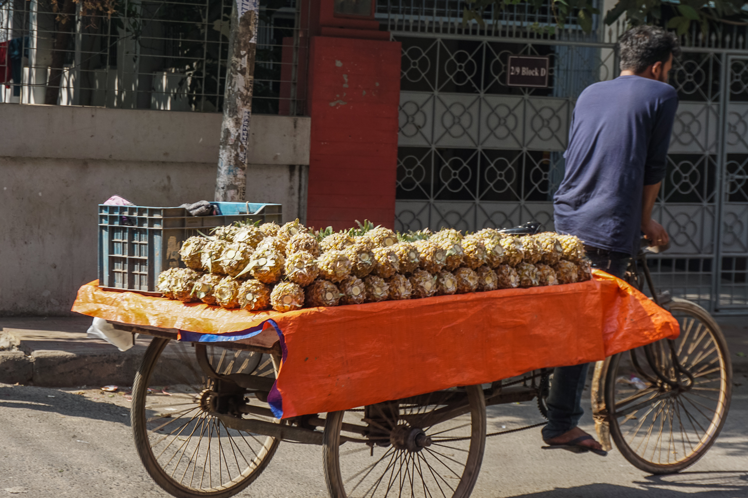 Fresh Fruit | The Camerist's Collection
