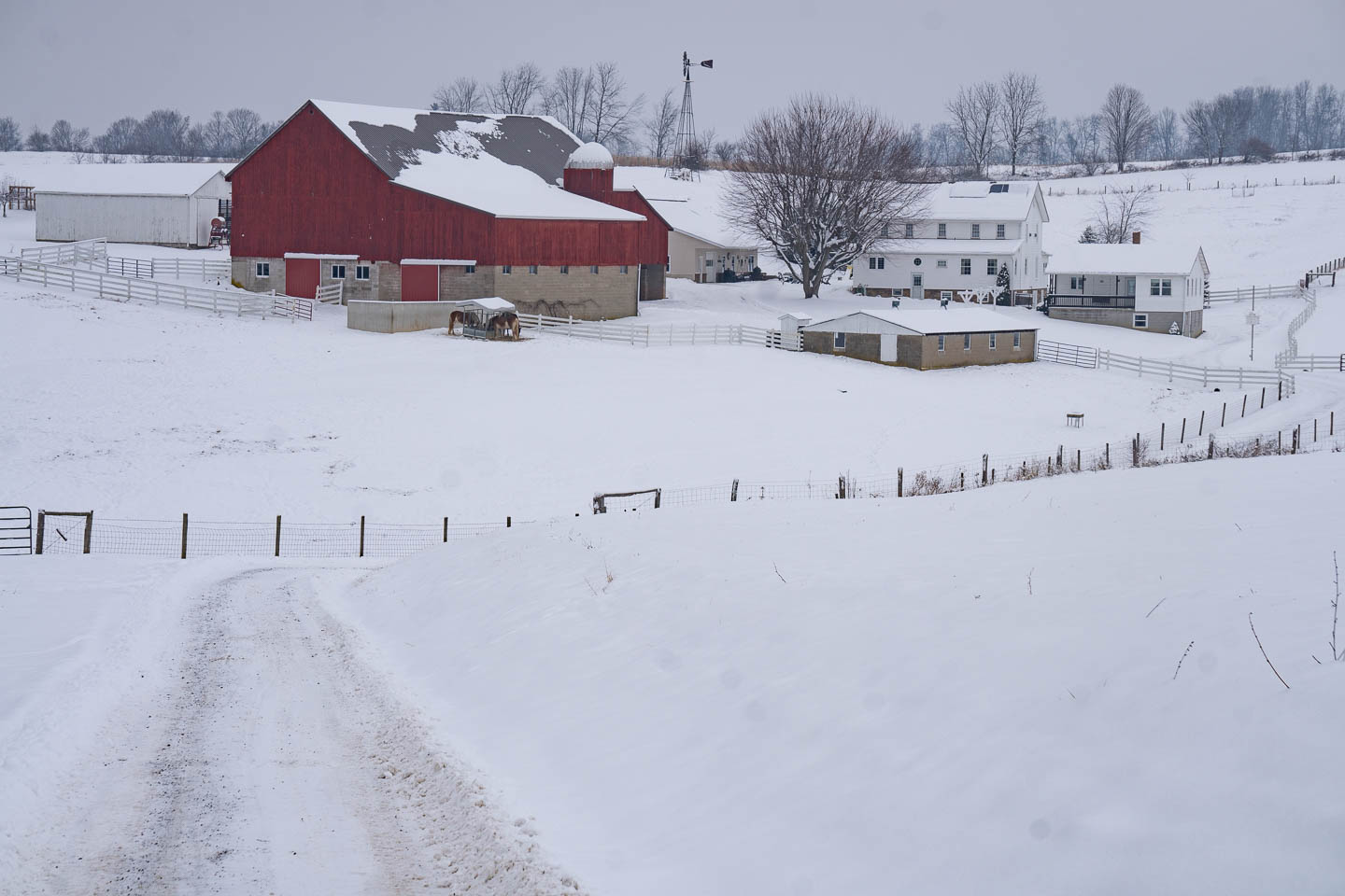 Iconic Farm | The Camerist's Collection