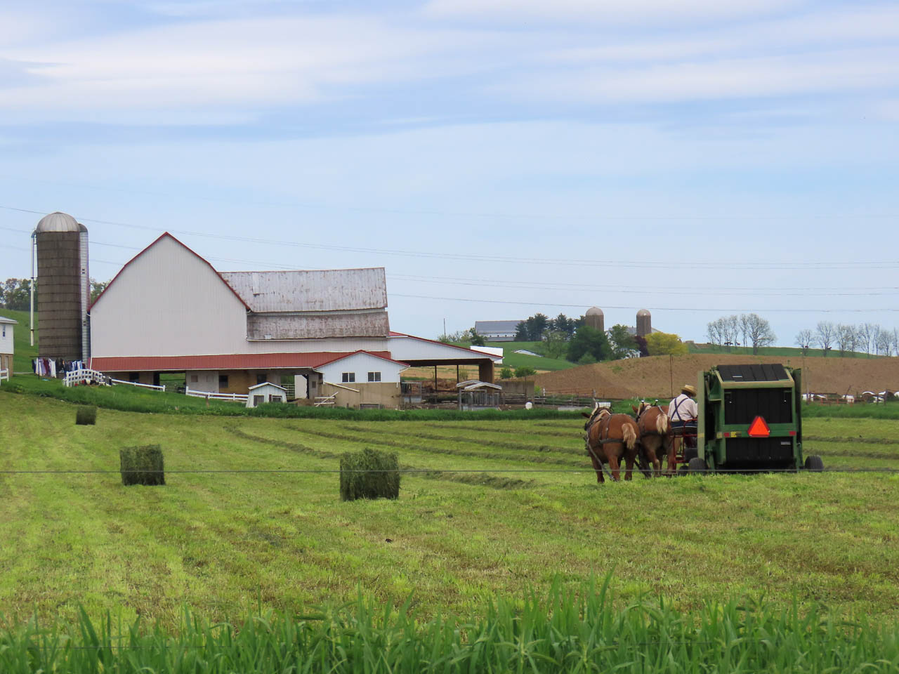 Baling Hay | The Camerist's Collection