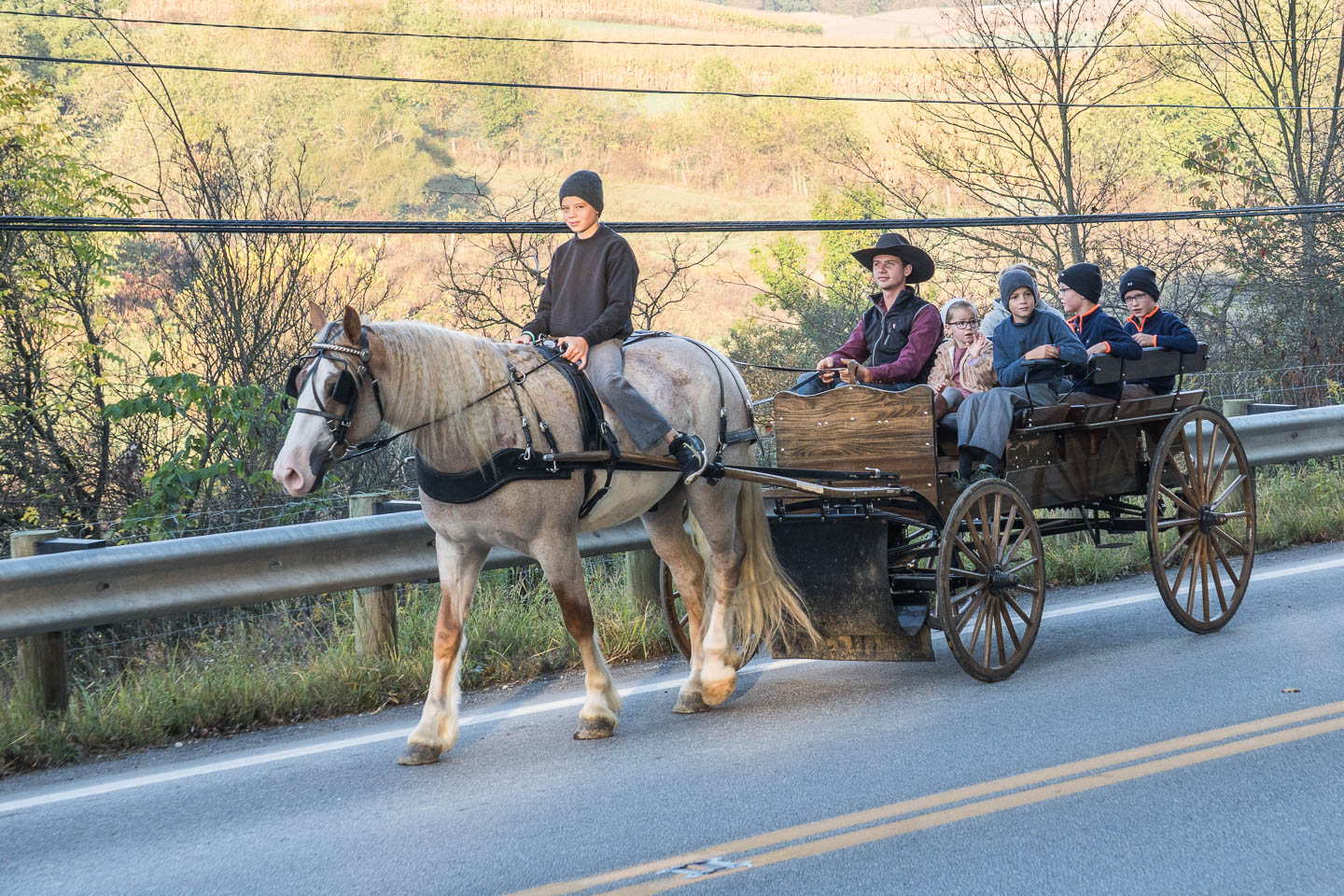 Pony Parade Entry | The Camerist's Collection
