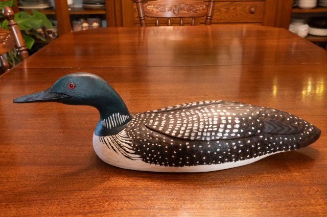 Common Loon | The Camerist's Collection