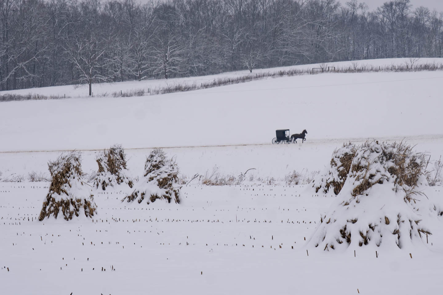 Reflections of 2025 | The Camerist's Collection