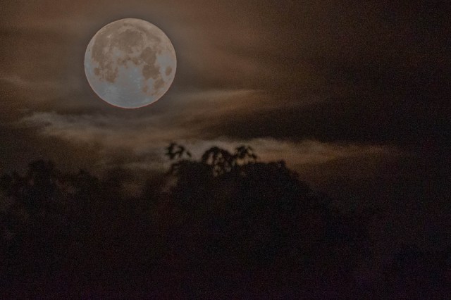 Blue Moon | The Camerist's Collection