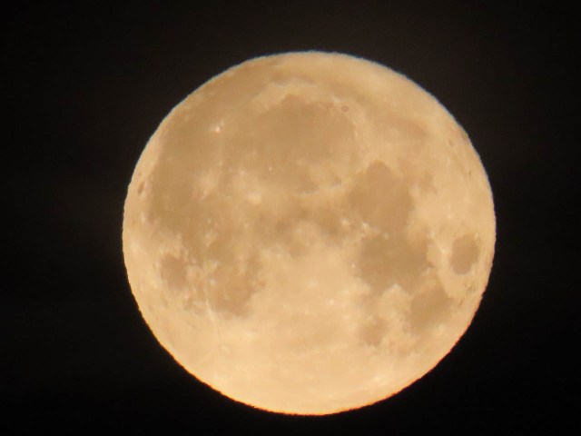 Blue Moon | The Camerist's Collection